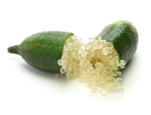 Finger lime pianta: conosci il limone caviale? Scopri di più